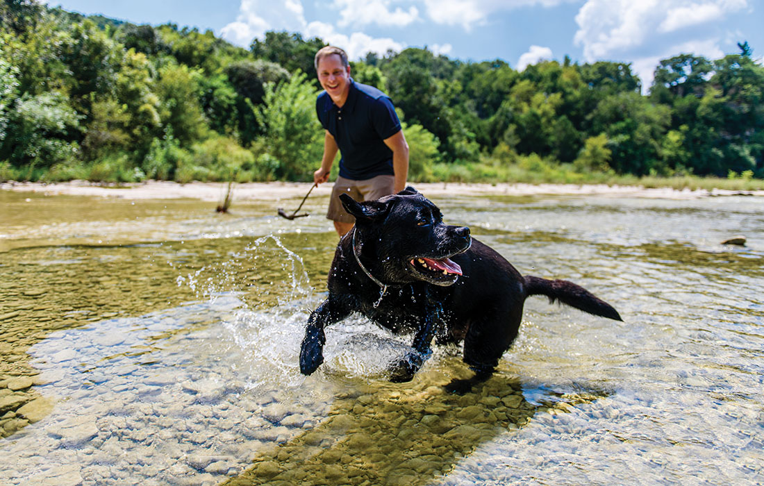 Austin-Based Nulo Pet Food Lets Pets Eat Local - Tribeza