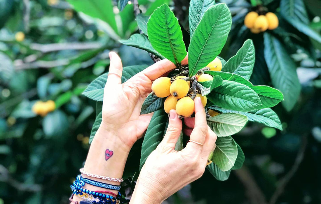 Cocktail Recipes and Tips for Foraging Ingredients in Austin - Tribeza