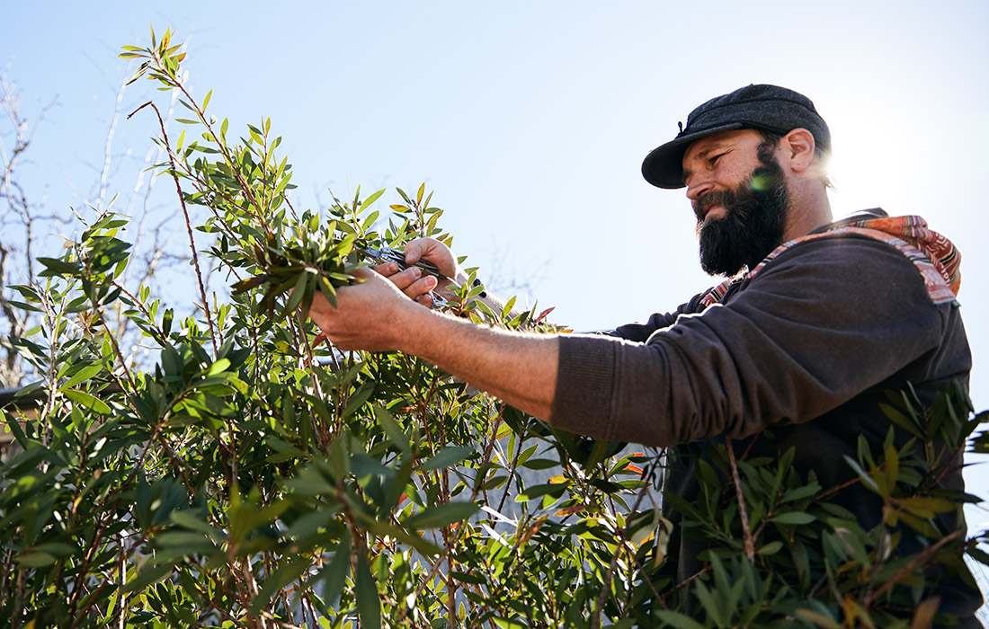 Texas-Distilled Totem Blends Traditions of Foraging, Harvesting and ...