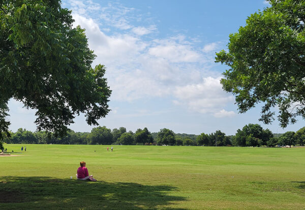 The Best Neighborhood Parks in Austin - Tribeza
