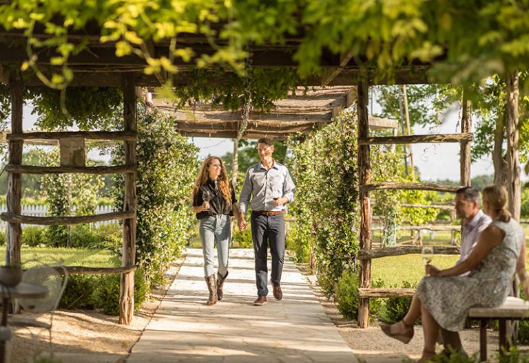 Tribeza's Guide to Hill Country Wineries - Tribeza