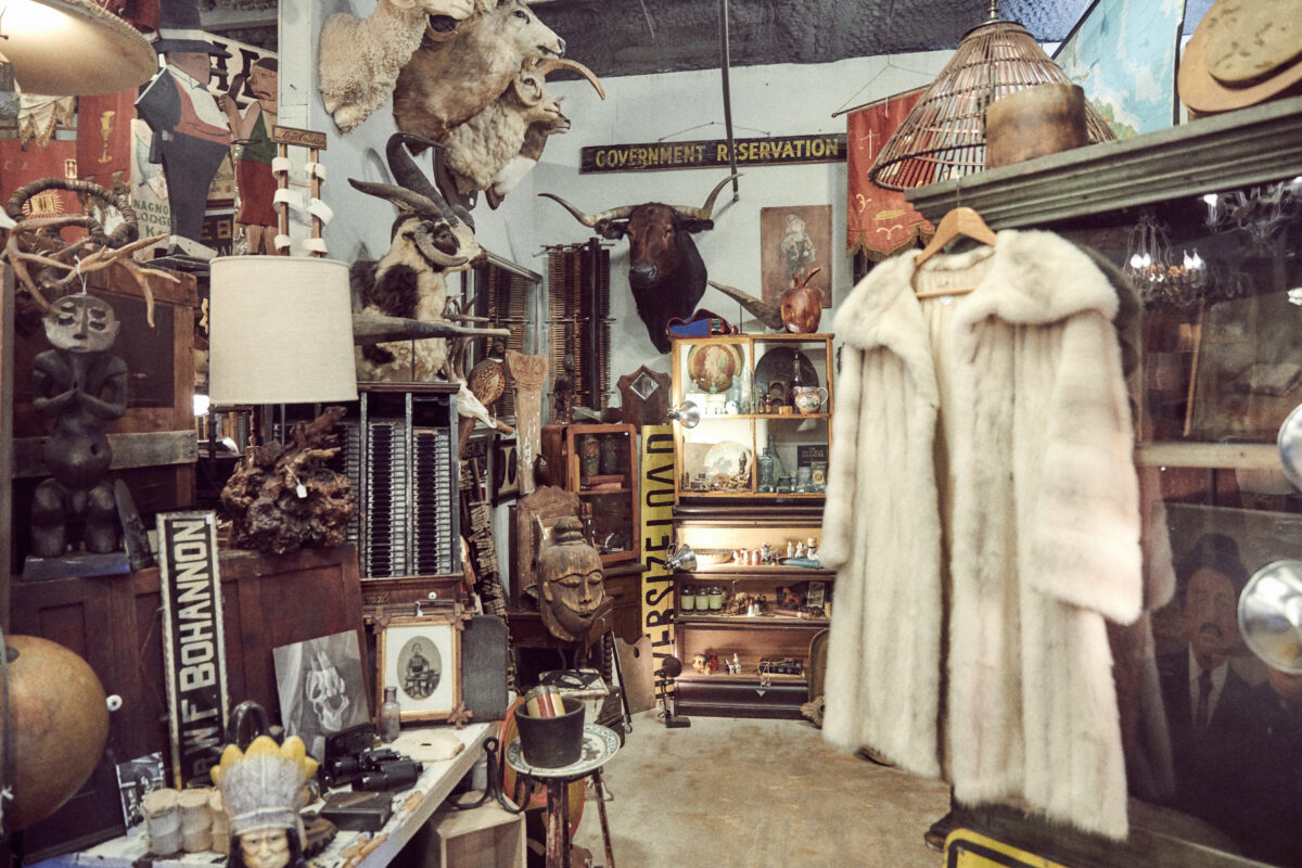 Austin’s Best Shops for Unique and Stylish Home Decor - Tribeza