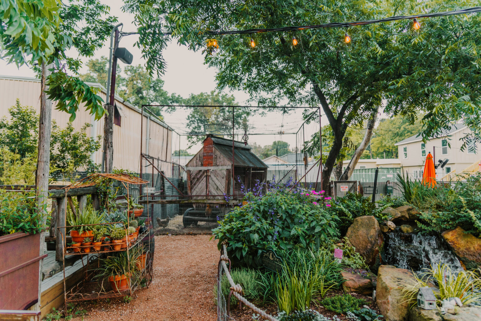 Cosmic Coffee is Serving Up Beverages Within Botanical Gardens - Tribeza