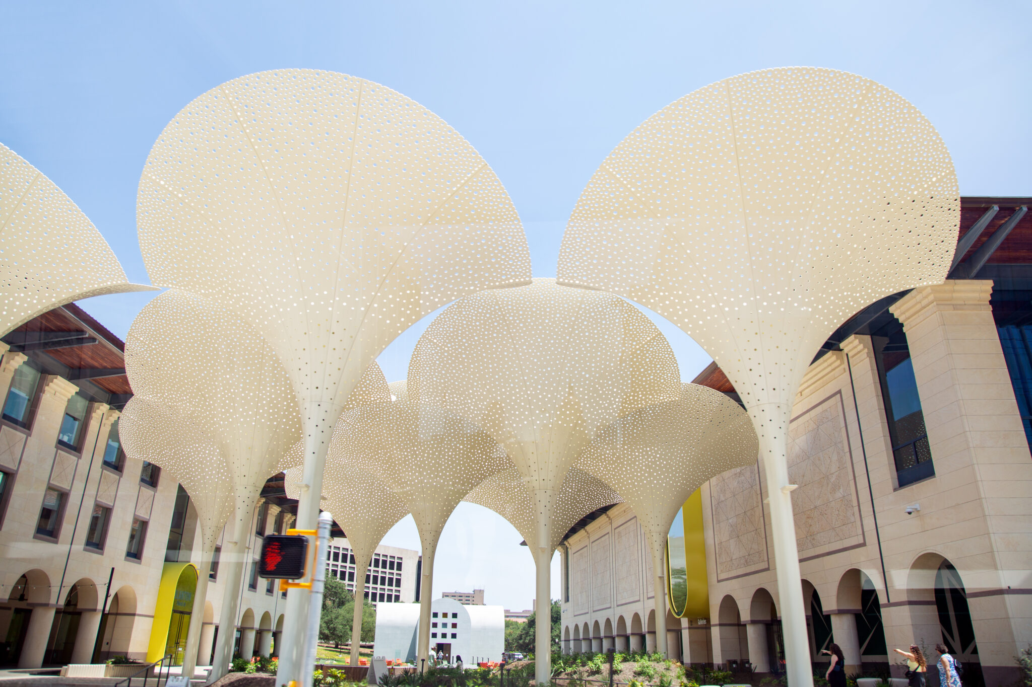 Hop Aboard an Art & Architecture Tour for a Look Inside Austin's Modern ...