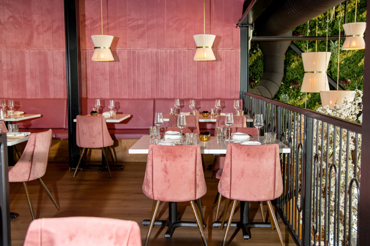 Ember Kitchen Creates Bold Latin Flavors - Tribeza