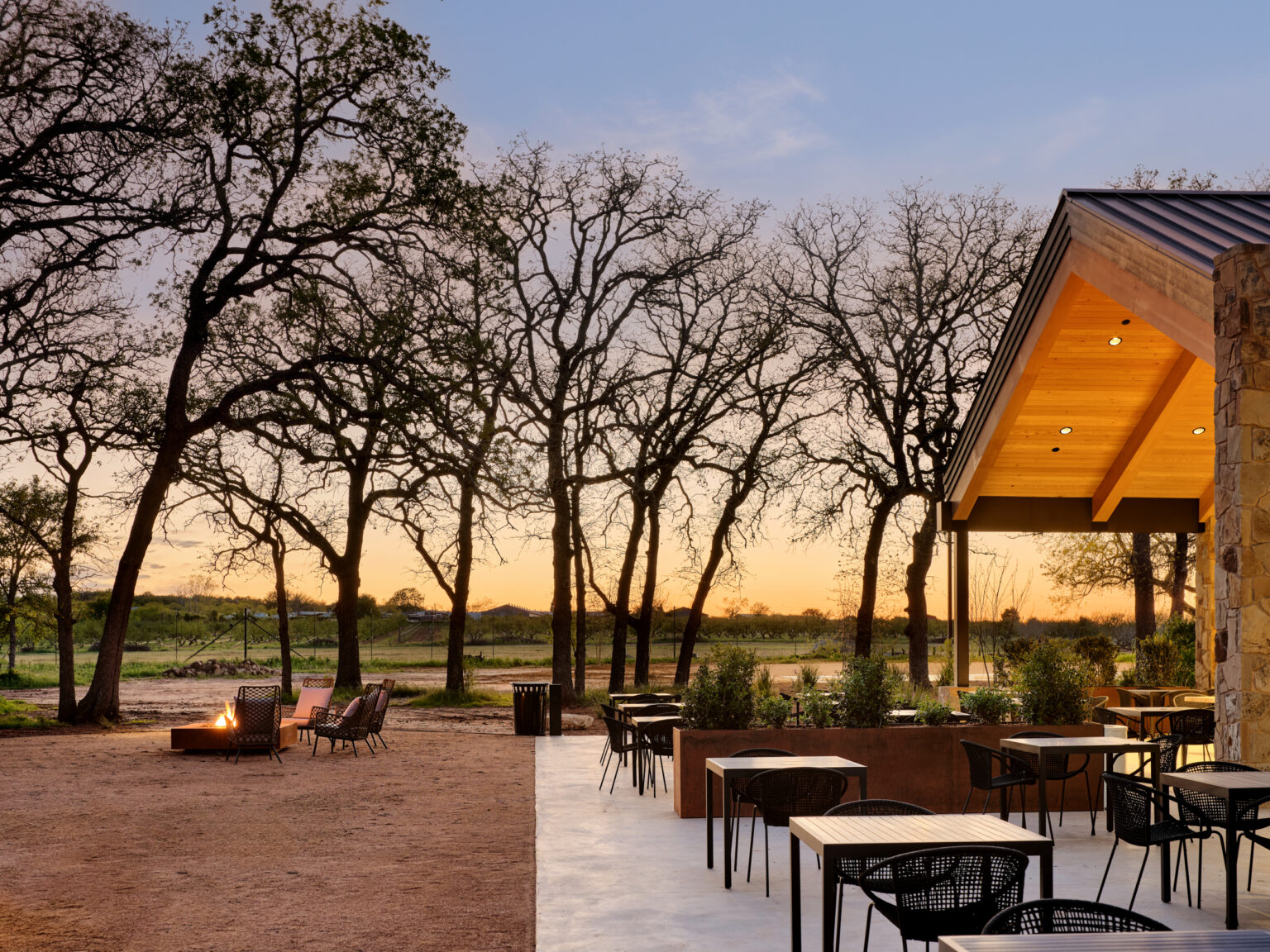 Tribeza's Guide to Hill Country Wineries - Tribeza