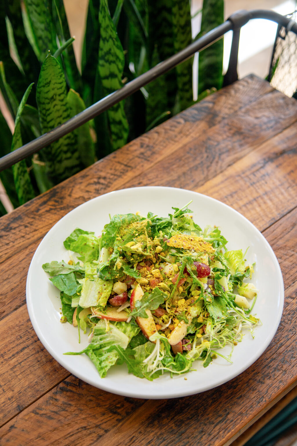 Dovetail Pizza: Where Austin Casual Vibes Meet Culinary Delights for ...