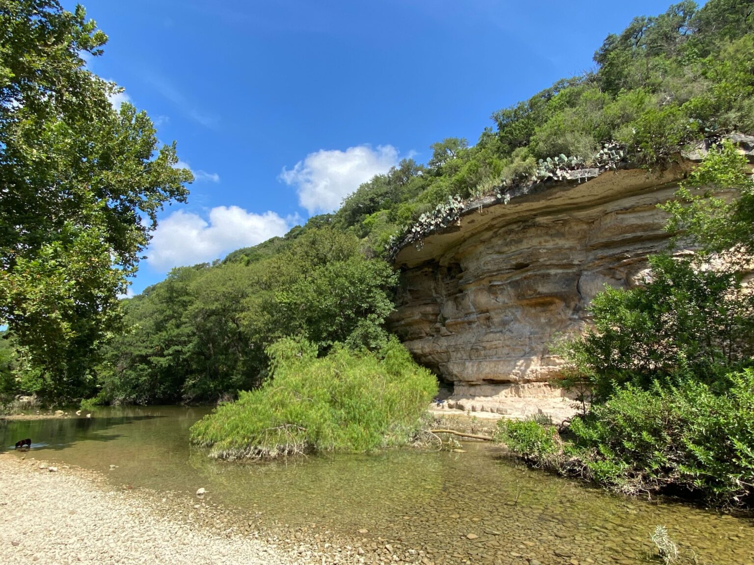 Top Austin Trails for Hikes & Nature Walks - Tribeza