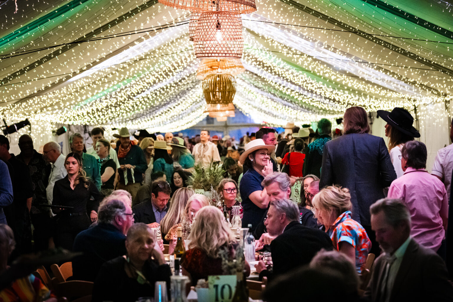 Inside the Celebration: Paramount Theatre’s 110th Gala With Lyle Lovett ...